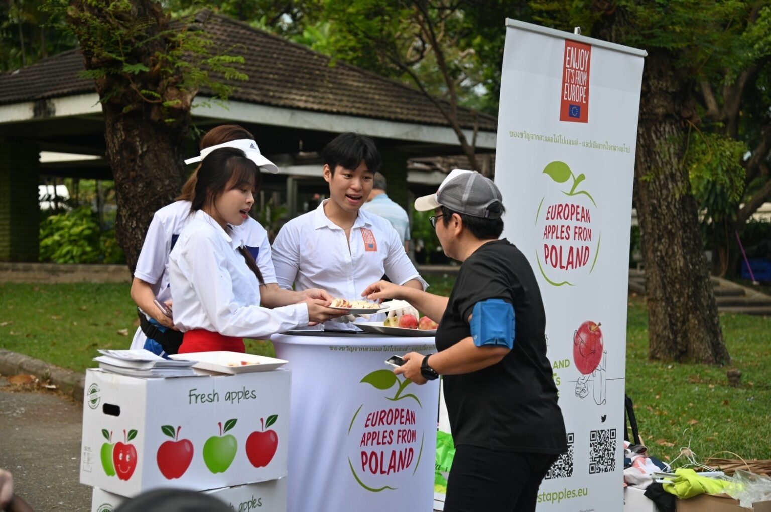 Services – Oracle One